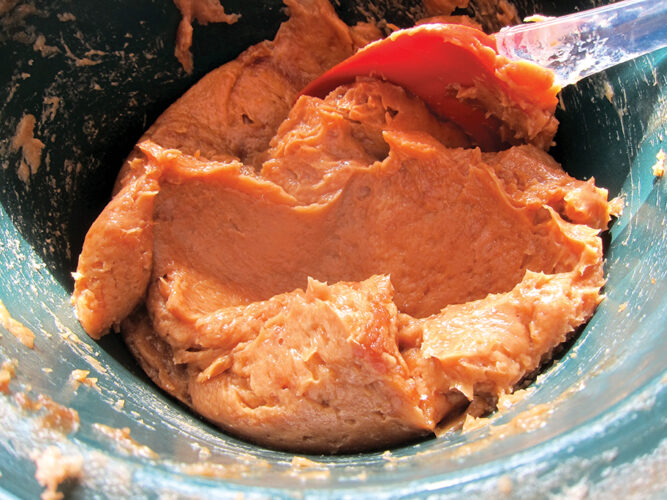 How to Make Hot-Process Soft Soap – Mother Earth News